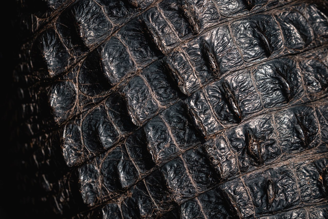 Swamp Invaders: Python Cowboy II