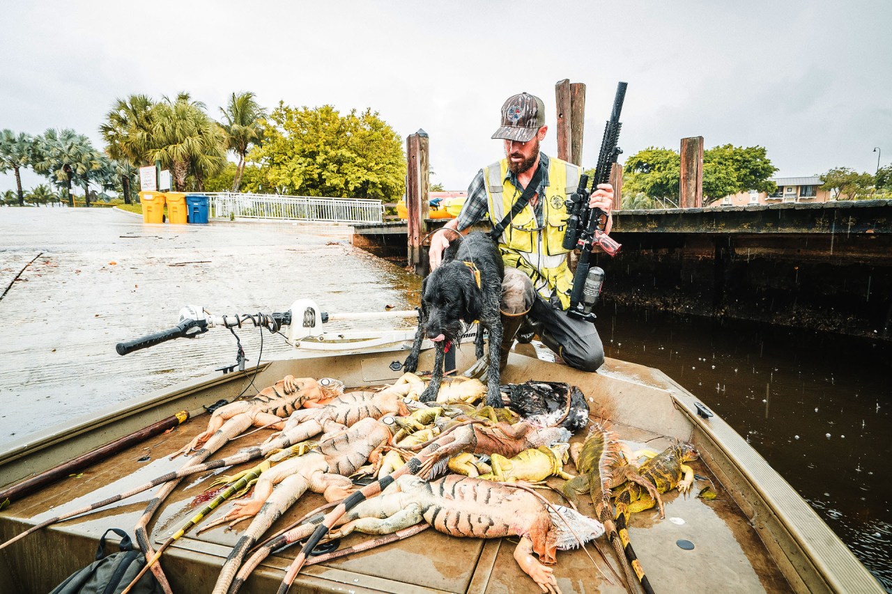 Swamp Invaders: Python Cowboy II